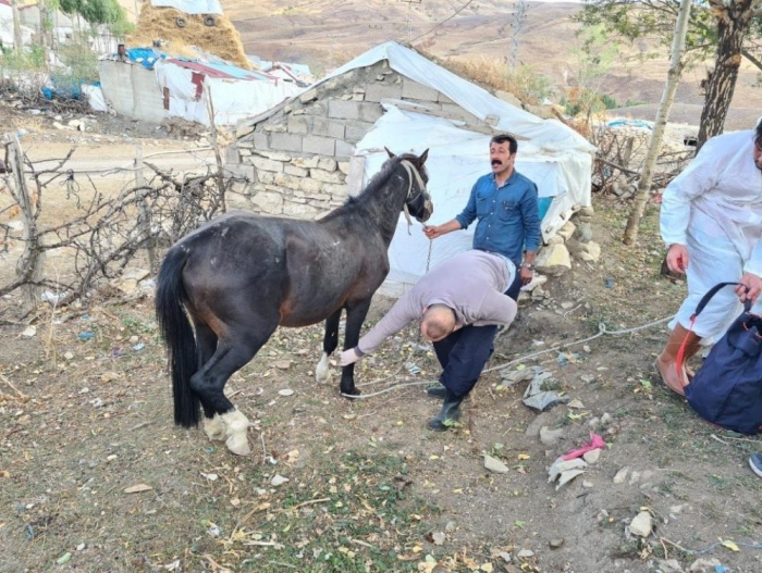 Hayvan hastanesi gezici hizmet aracı Karayazı’da Hayvan hastanesi gezici hizmet aracı Karayazı’da
